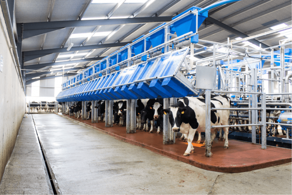Milking - Dairymaster