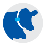 Moomonitor+ - Dairymaster