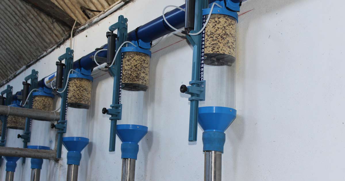 Batch Feeders - Dairymaster