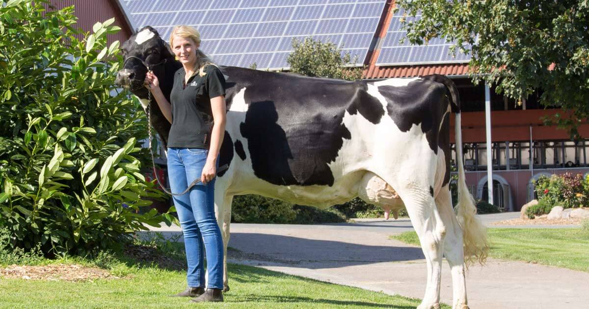 Farm Videos - Dairymaster