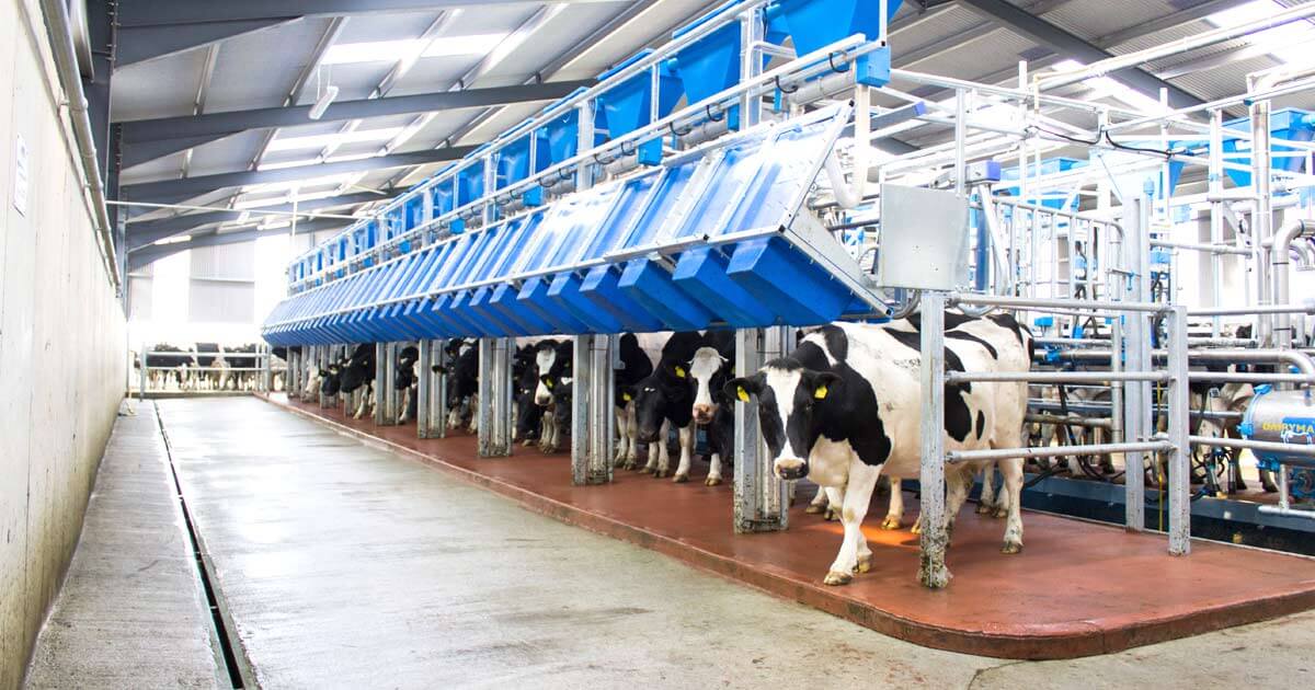 Fast Exit - Dairymaster