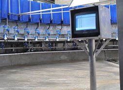 Cow Rotary - Dairymaster