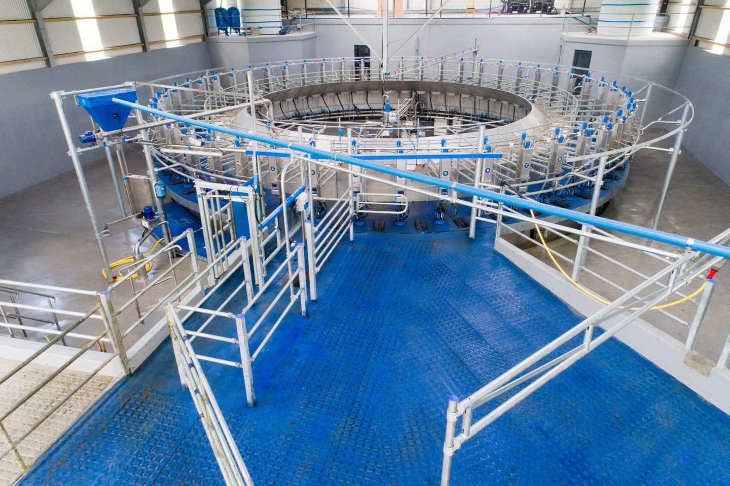Ruling the roost, through the rotary route... - Dairymaster